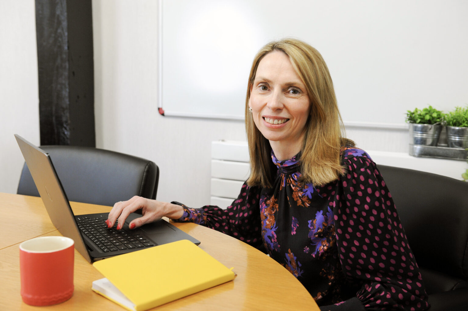 Meet the team: Our Financial Controller, Sophie - Insight Associates ...